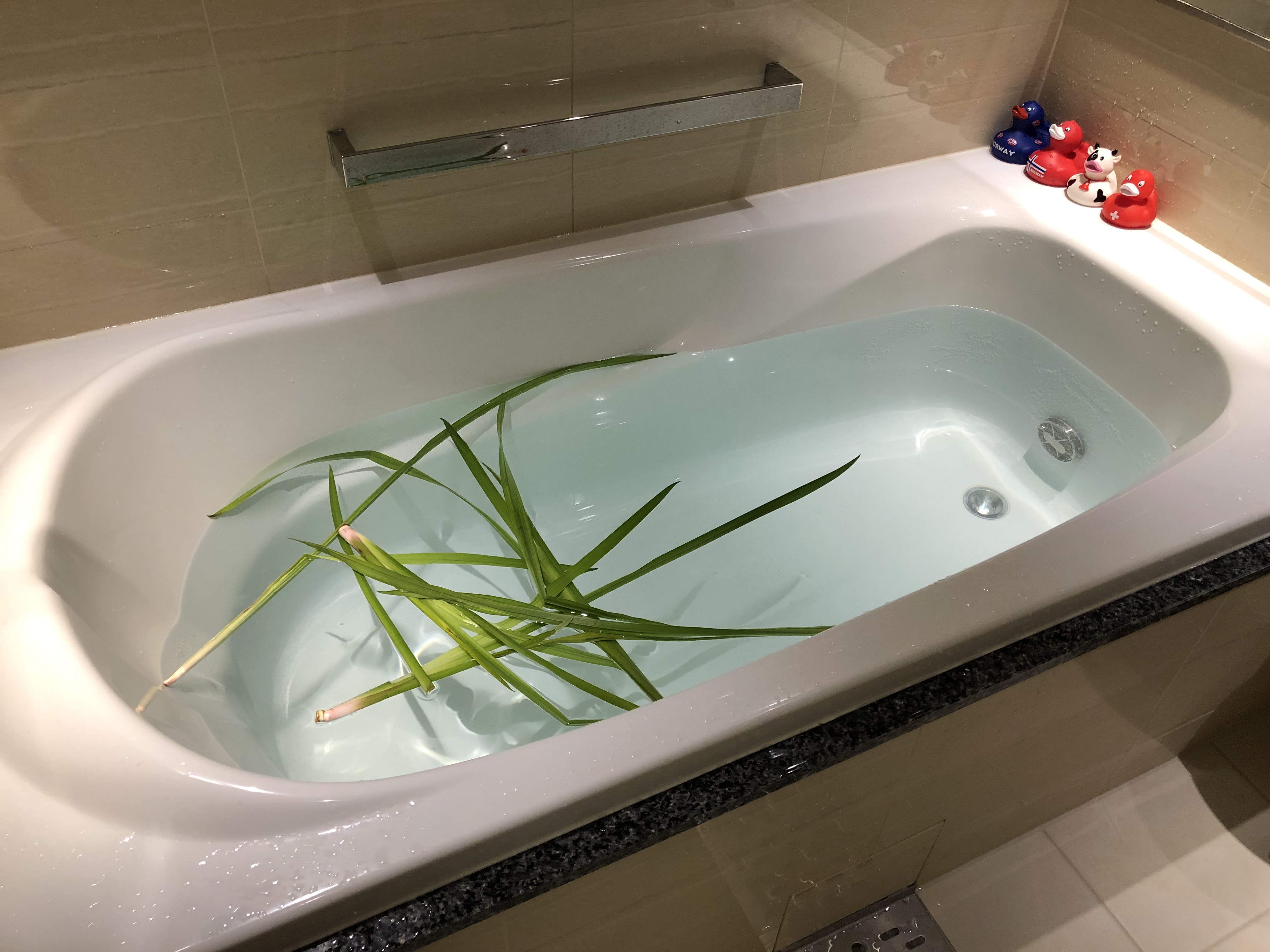 Bath with Shobu (Iris) – sonokotchi